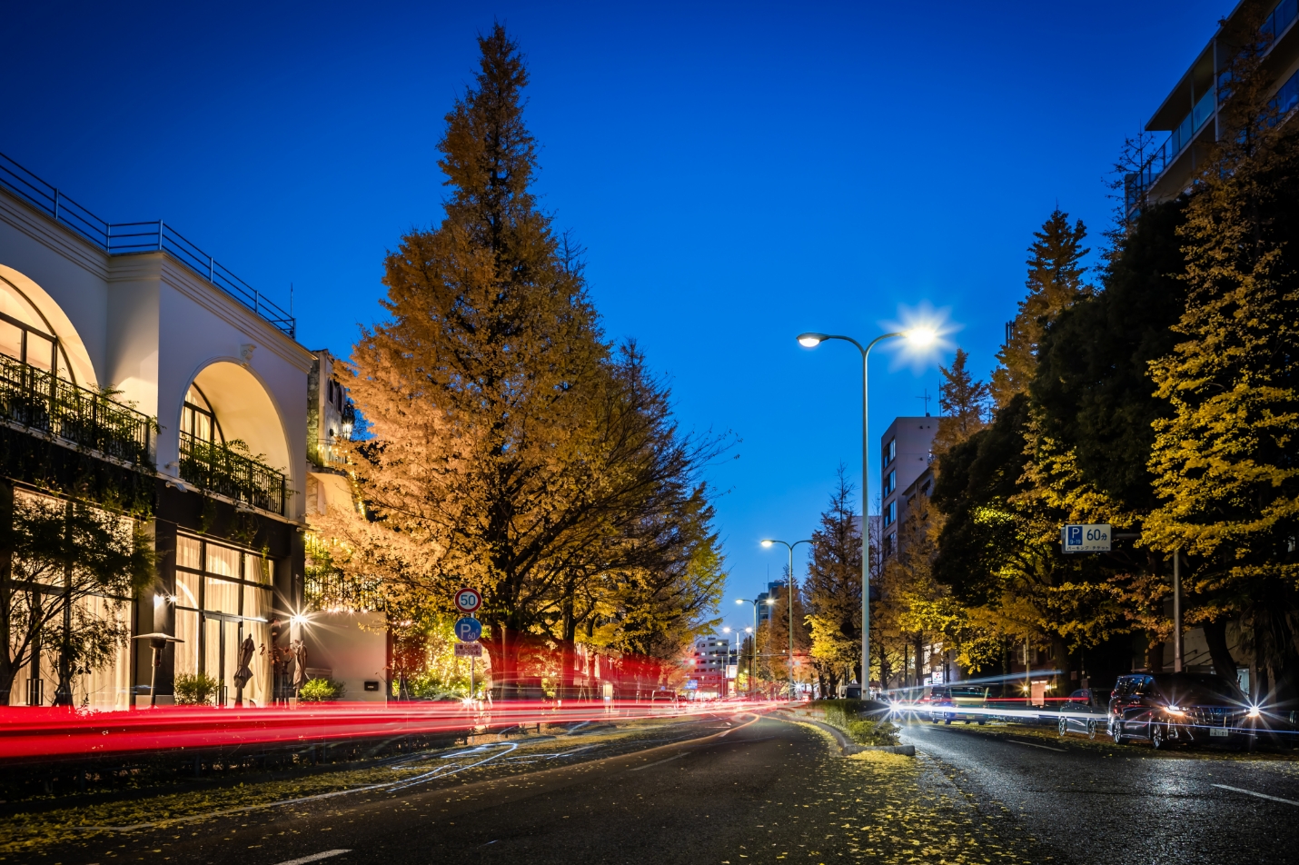 ロケーション｜≪公式≫ブランズ白金台五丁目｜港区 新築分譲マンション｜東急不動産の住まい[BRANZ（ブランズ）]