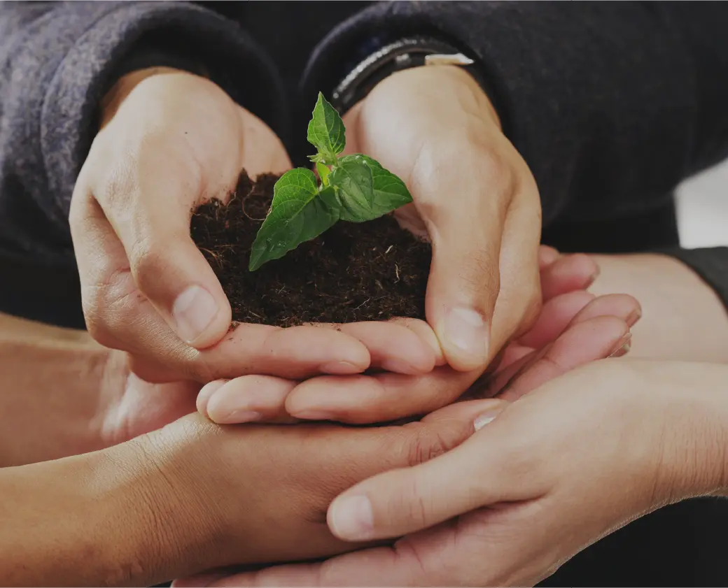 GREEN POSITIVE ALLIANCE